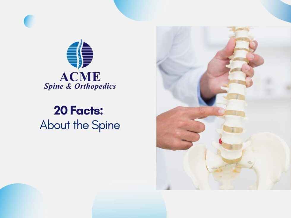 20 Facts About the Spine - Acme Spine and Orthopedics