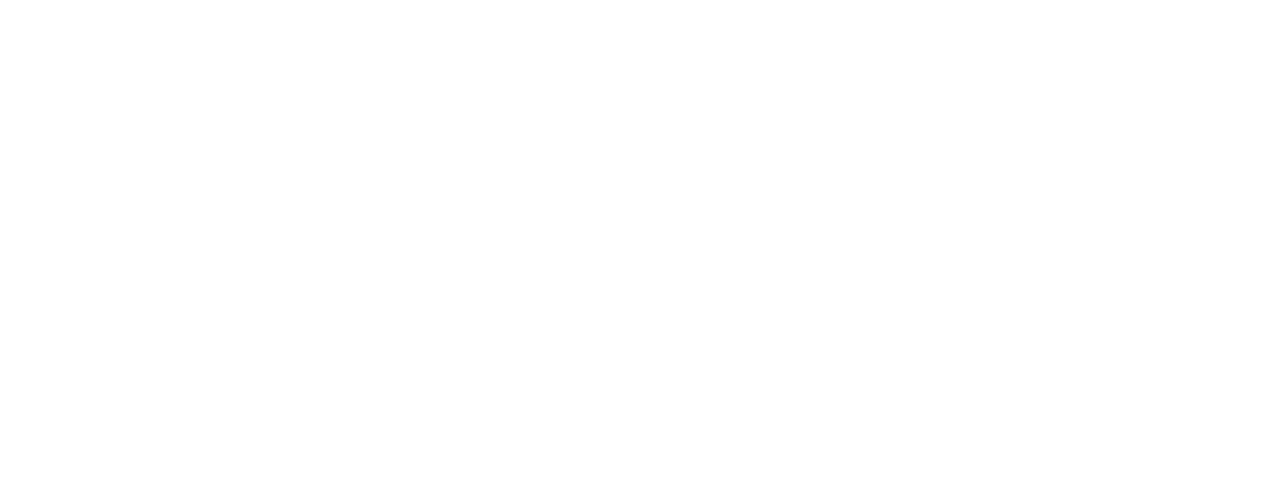 Regenten Bioinductive Implant | ACME Spine & Ortho